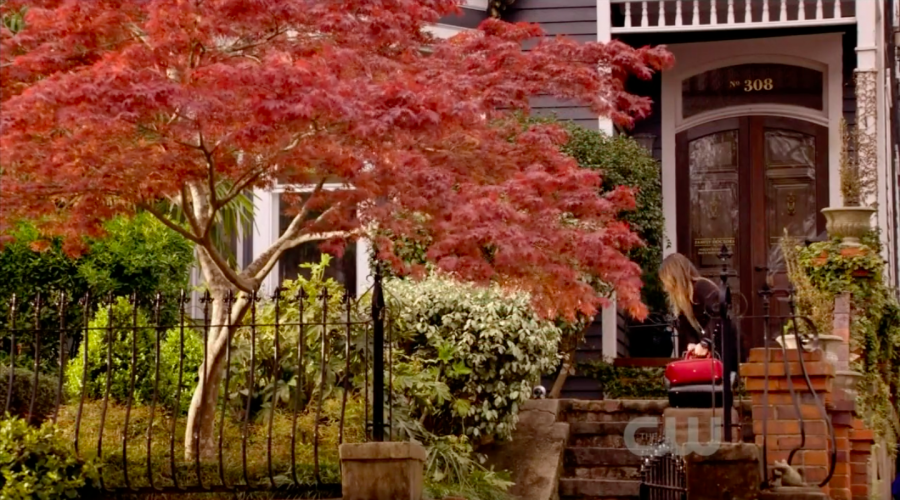Hart of Dixie filming locations of the series' pilot in North Carolina.